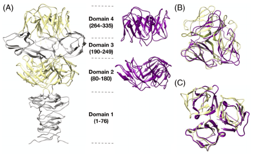 Galux - AI for Protein Design